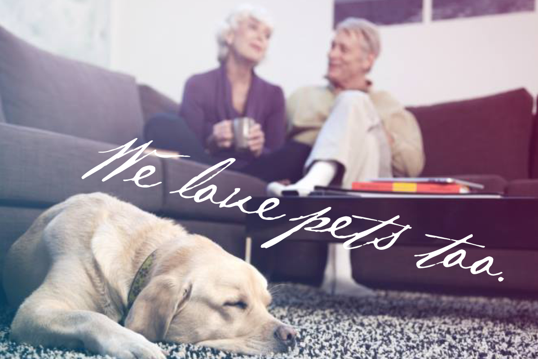 The Keelson | Condo & Apartment Building | Dartmouth, Nova Scotia